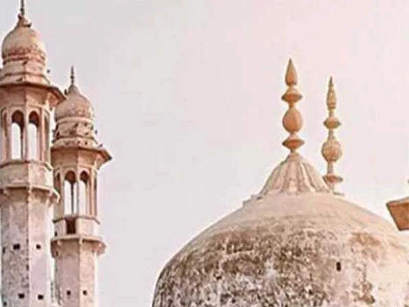 Remains of a huge Hindu temple beneath the Gyanvapi Mosque are ...